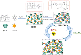 Polyethyleneimine-functionalized β-cyclodextrin porous polymers for ...