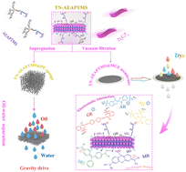Multifunctional applications of amino functionalized Ti3C2Tx: high flux ...