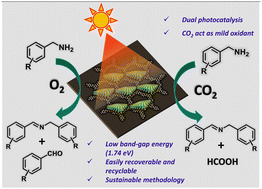 Sunlight induced efficient photocatalytic oxidation of benzylamines and ...