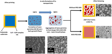 Decomposition mechanism and morphological evolution of in situ realized ...