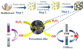 Shaddock peel-loaded CeO2 composites with peroxidase-like activity for ...