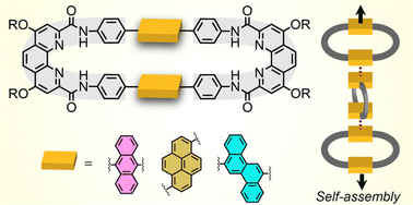 Synthesis and spontaneous self-assembly of non-planar aromatic amide ...
