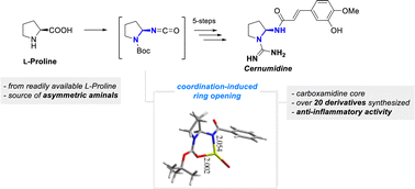 Exploring the synthesis of aminal guanidine-based molecules: synthesis ...