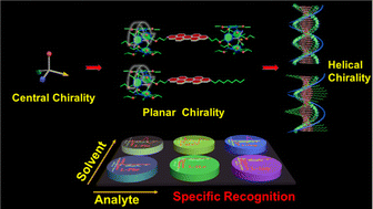 Hierarchical chirality transfer of perylene diimide-tethered pillar[5 ...