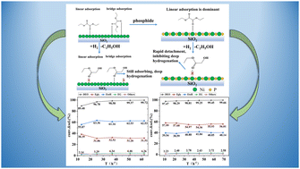 Modulation of supported Ni catalysts with phosphorus for the ...
