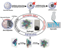 A protein-based self-healing hydrogel for prolonged antimicrobial drug ...