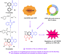 Design, synthesis, and evaluation of 1,4-naphthoquinone-chromene ...