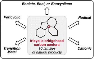 Finding activity through rigidity: syntheses of natural products ...