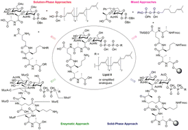 Strategies and tactics for the synthesis of lipid I and II and ...