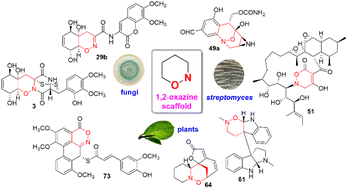 Natural products with 1,2-oxazine scaffold: occurrence, chemical ...