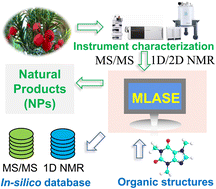 Machine learning-assisted structure annotation of natural products based on MS and NMR data ...