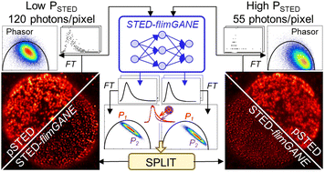 Spatial resolution enhancement in photon-starved STED imaging using ...