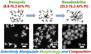Manipulating morphology and composition in colloidal heterometallic ...