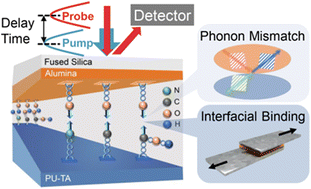 Molecular design of a highly matched and bonded interface achieves ...