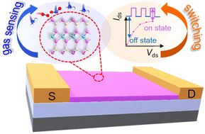 Two-dimensional MoSi2As4-based field-effect transistors integrating ...