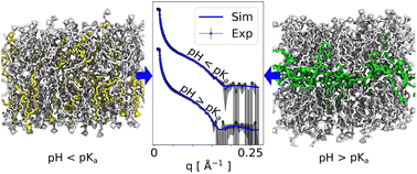 Structural insights on ionizable Dlin-MC3-DMA lipids in DOPC layers by ...