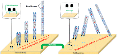 Bottom–up on-surface synthesis based on click-functionalized peptide ...