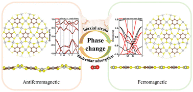 Tunable electronic and magnetic properties of planar and corrugated ...