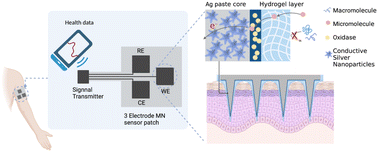 A nanometallic conductive composite-hydrogel core–shell microneedle ...