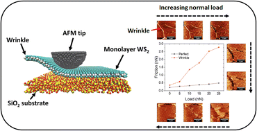 Nanoscale friction and wear behavior of a CVD-grown aged WS2 monolayer ...