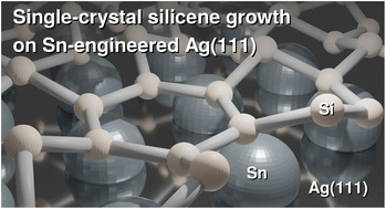 Crystal phase engineering of silicene by Sn-modified Ag(111 ...