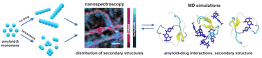 Nanoscale insights into the local structural rearrangements of amyloid ...