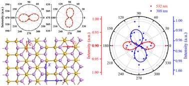 Observation of optical anisotropy and a linear dichroism transition in ...