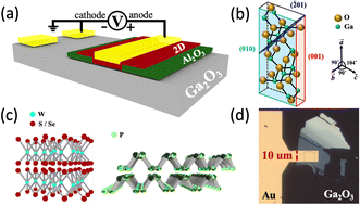 Vertical van der Waals heterojunction diodes comprising 2D ...
