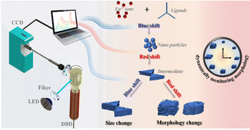 Synthesis and real-time monitoring of the morphological evolution of ...