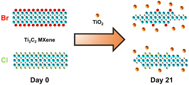 Effect of terminal groups on the degradation stability of Ti3C2Tz ...