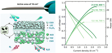 Nanoengineering of electrodes via infiltration: an opportunity for ...