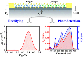 Two-dimensional HfS2–ZrS2 lateral heterojunction FETs with high ...