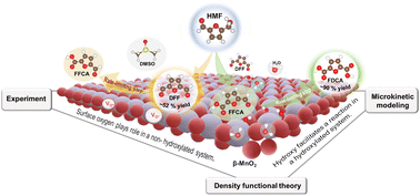 Hydroxy and surface oxygen effects on 5-hydroxymethylfurfural oxidation ...