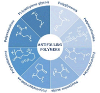 Antifouling polymers for nanomedicine and surfaces: recent advances ...