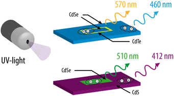 Expanding the color palette of bicolor-emitting nanocrystals ...
