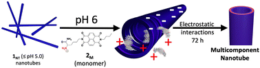 Electrostatic assembly of a multicomponent peptide/amphiphile nanotube ...