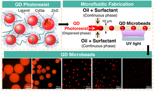 Facile microfluidic synthesis of monodispersed size-controllable ...