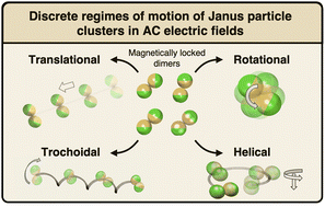 Magnetically locked Janus particle clusters with orientation-dependent ...