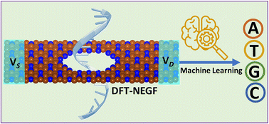 Deciphering DNA nucleotide sequences and their rotation dynamics with ...