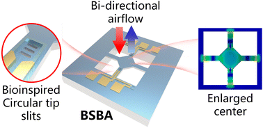 Bio-inspired, sensitivity-enhanced, bi-directional airflow sensor for ...