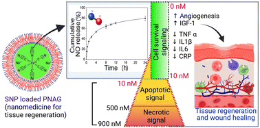 Nitric oxide releasing novel amino acid-derived polymeric ...