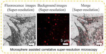 Correlative super-resolution bright-field and fluorescence imaging by ...