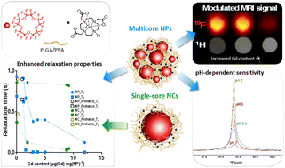 The internal structure of gadolinium and perfluorocarbon-loaded polymer nanoparticles affects ...