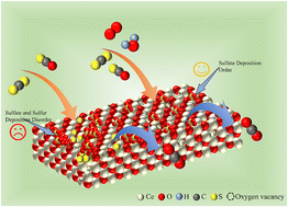 The influence of H2O or/and O2 introduction during the low-temperature ...