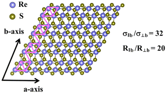 Electrical and optoelectronic anisotropy and surface electron ...