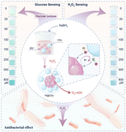 Carbon dot enhanced peroxidase-like activity of platinum nanozymes ...