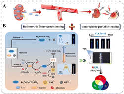 A facile, low-cost bimetallic iron–nickel MOF nanozyme-propelled ...