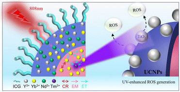 Near-infrared light responsive intensified multiphoton ultraviolet ...