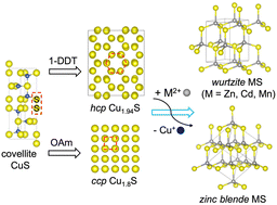 Pre-phase transition of a Cu2−xS template enables polymorph selective ...
