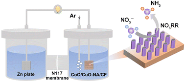 Electrocatalytic nitrate-to-ammonia conversion on CoO/CuO nanoarrays ...